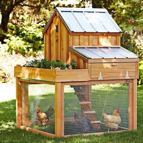 Notre nouveau poulailler en bois pour les jardins - agrobois